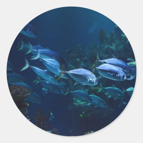 Aquarium Classic Round Sticker | Zazzle.com