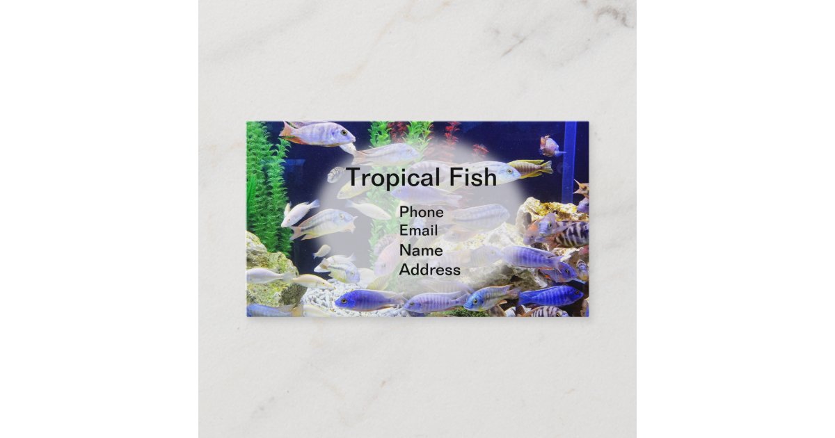 Aquarium with beautiful tropical fish business card | Zazzle