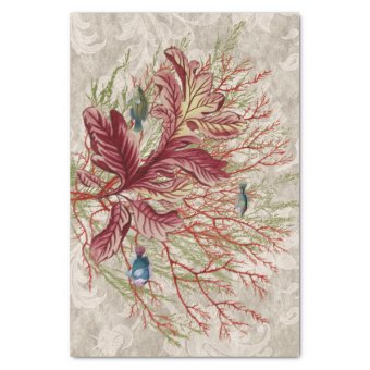Aquatic Red Coral Seaweed Fish Tissue Paper | Zazzle