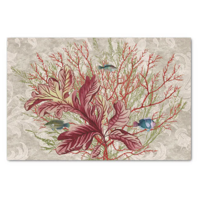 Aquatic Red Coral Seaweed Fish Tissue Paper | Zazzle