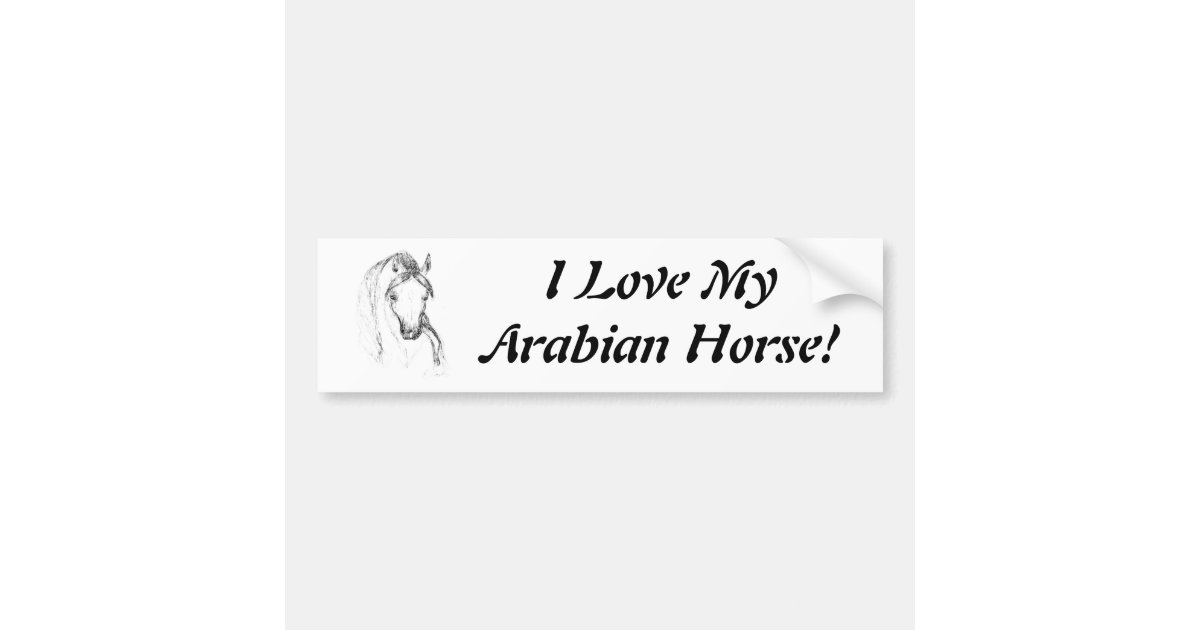 Arabian Horse Bumper Sticker | Zazzle