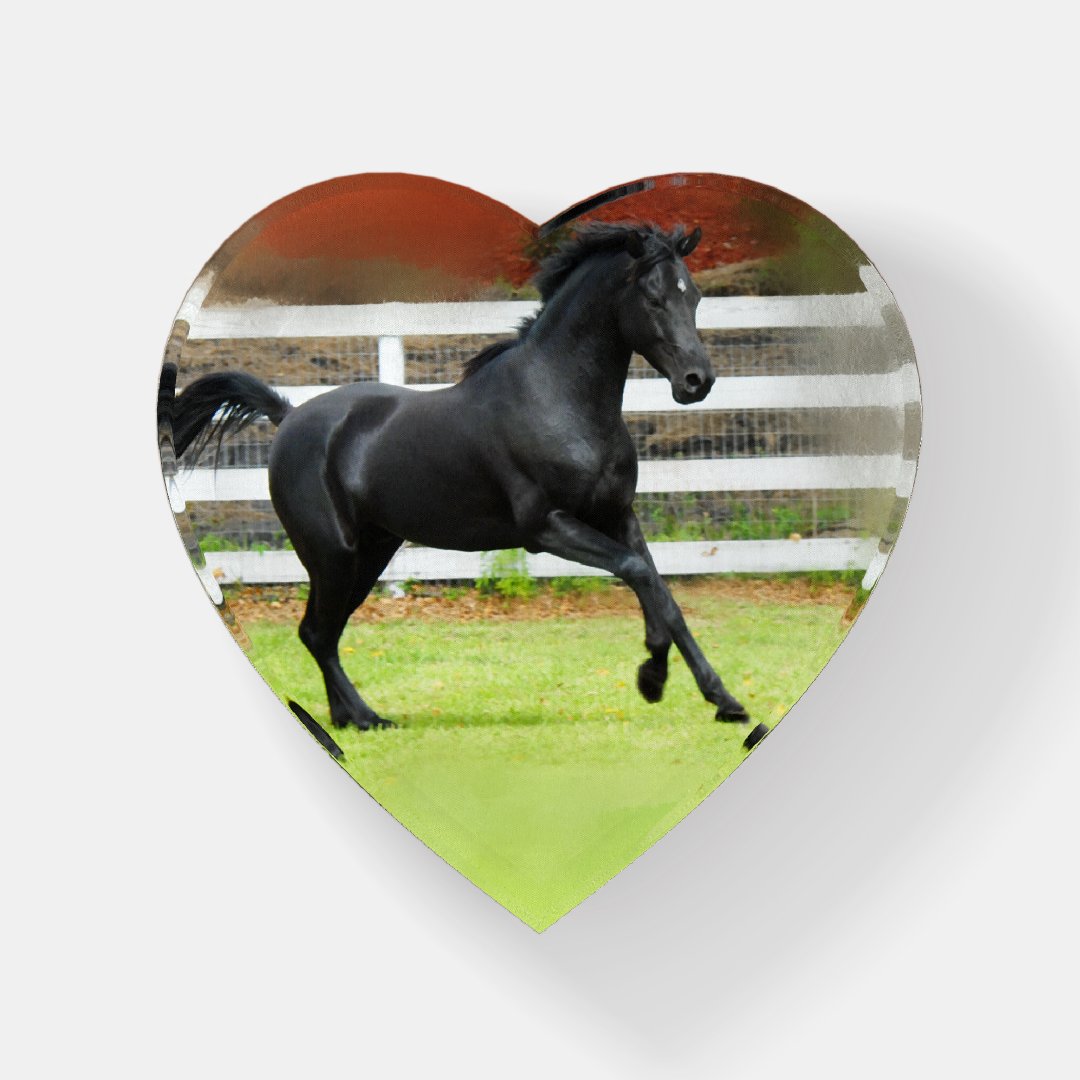 Arabian Horse Paperweight | Zazzle