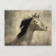 Arabian Horse Postcard | Zazzle
