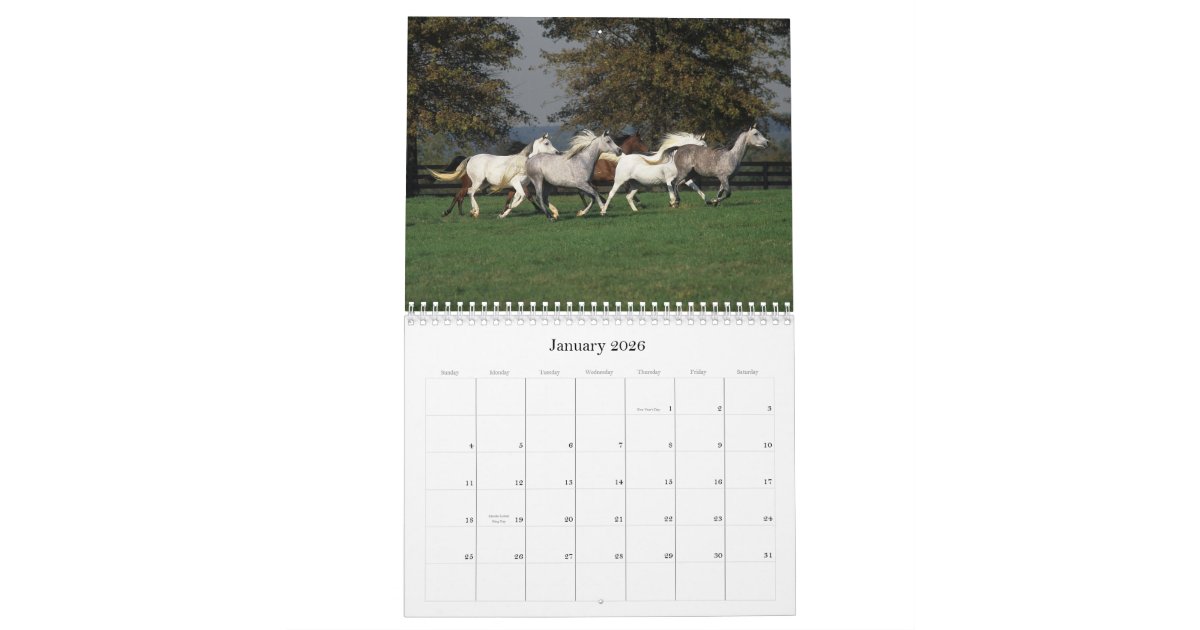Arabian Horses Calendar | Zazzle