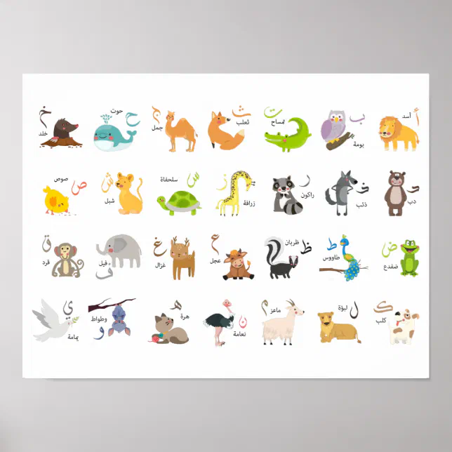 arabic Alphabet animals Poster | Zazzle