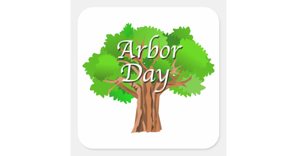 Arbor Day Tree Holiday Square Sticker | Zazzle