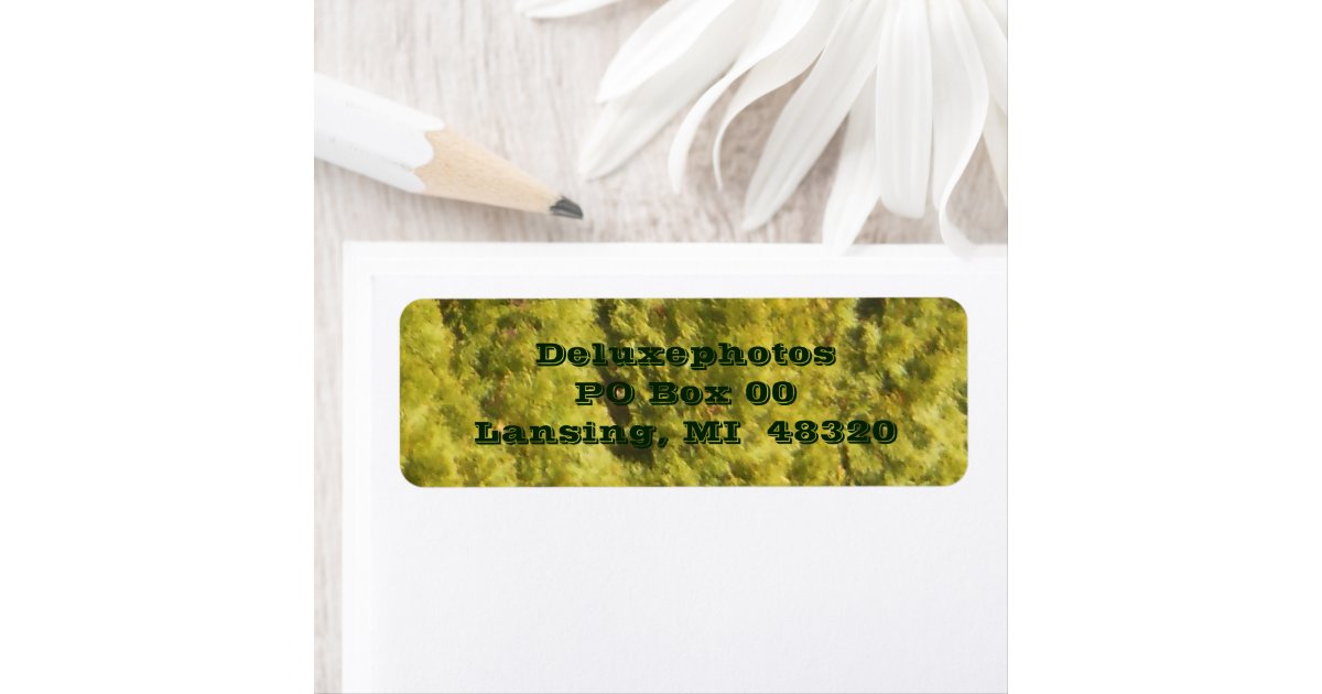 Arborvitae Evergreen Trees Label | Zazzle