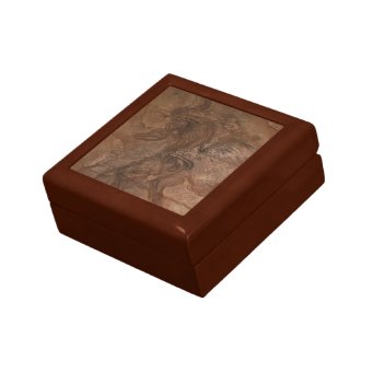 Archaeopteryx fossil - Gift box | Zazzle