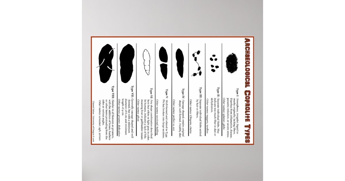 Archeological Coprolite Types Poster | Zazzle