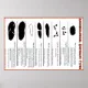 Archeological Coprolite Types Poster | Zazzle