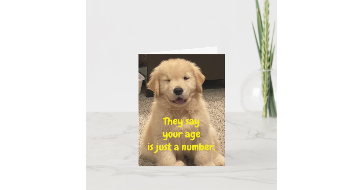 Archie's Adventures Birthday Card | Zazzle