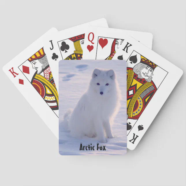 Arctic Alaskan White Fox Winter Pose Poker Cards | Zazzle