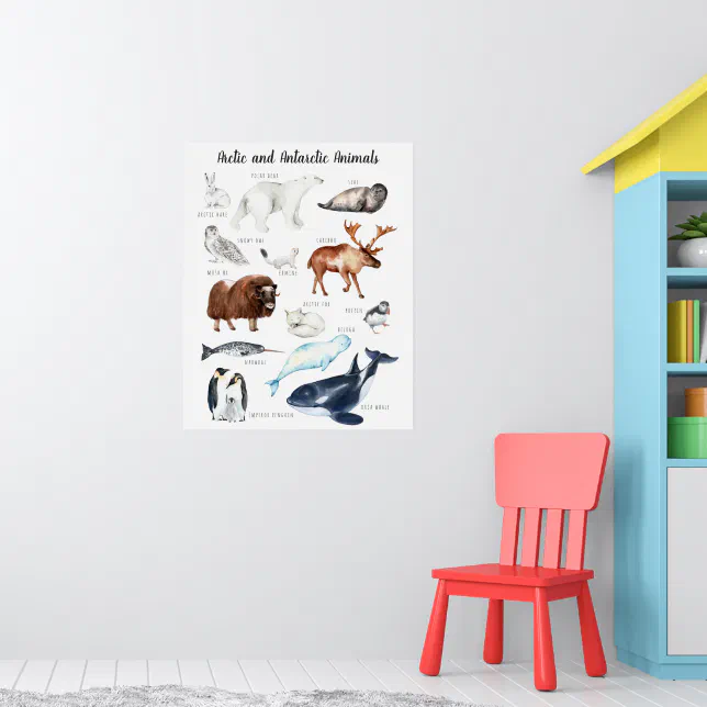 Arctic Animals | Education Learning Classroom Poster | Zazzle
