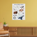 Arctic Animals | Education Learning Classroom Poster | Zazzle