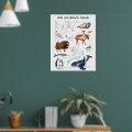 Arctic Animals | Education Learning Classroom Poster | Zazzle