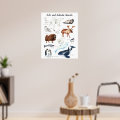 Arctic Animals | Education Learning Classroom Poster | Zazzle