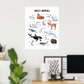 Arctic Animals Educational Classroom Poster | Zazzle