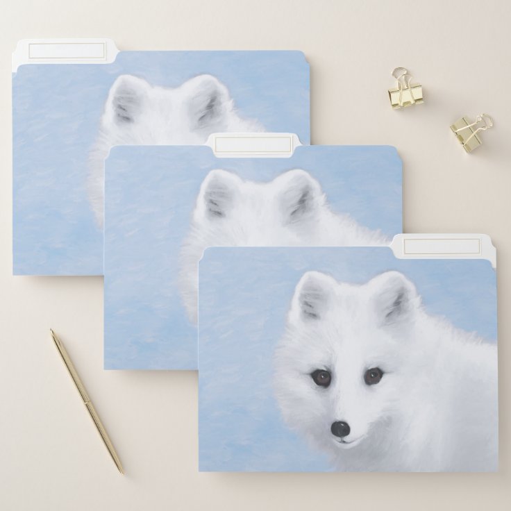 Arctic Fox Painting - Original Wildlife Art File Folder | Zazzle