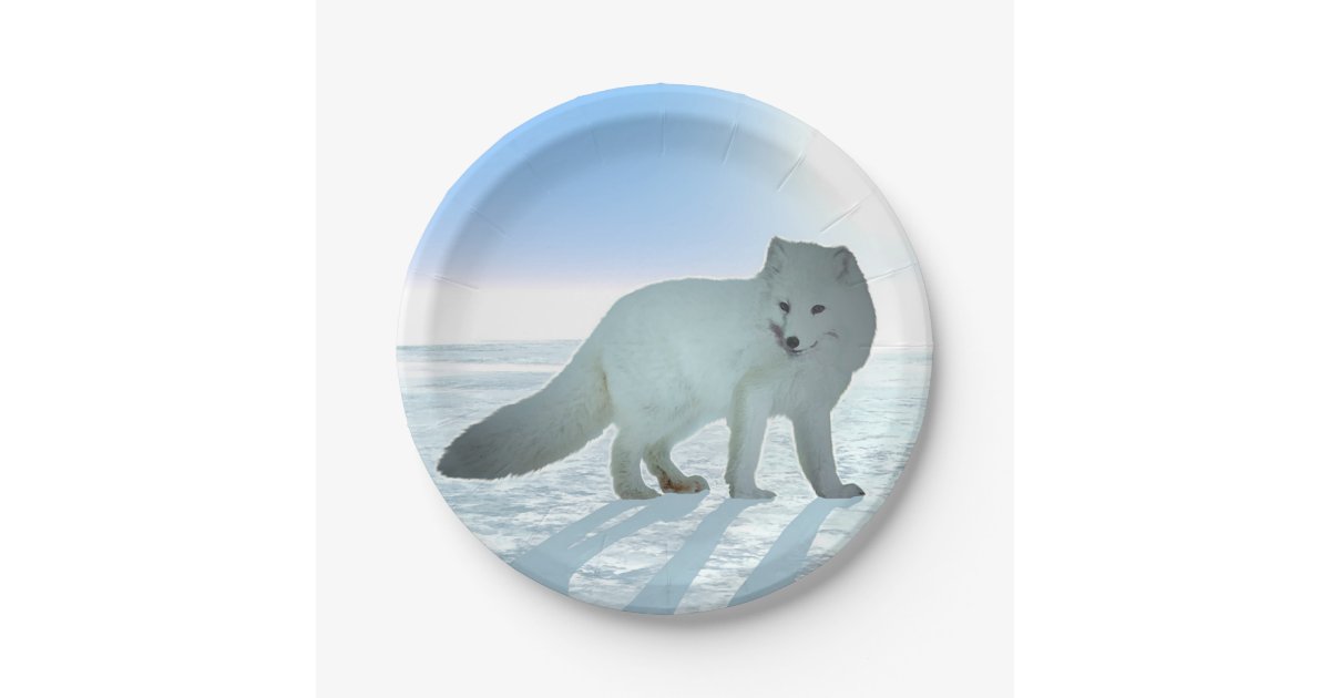 Arctic Fox Paper Plates | Zazzle
