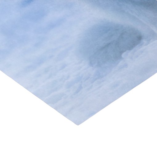 arctic fox tissue paper | Zazzle