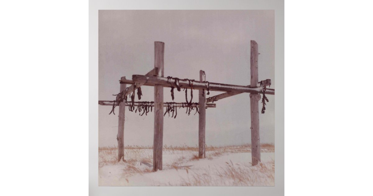 Arctic Meat Drying Rack, Old Pt. Lay Village Photo Poster | Zazzle