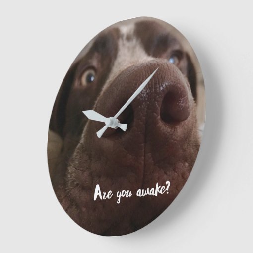 Are You Awake Wall Clock | Zazzle