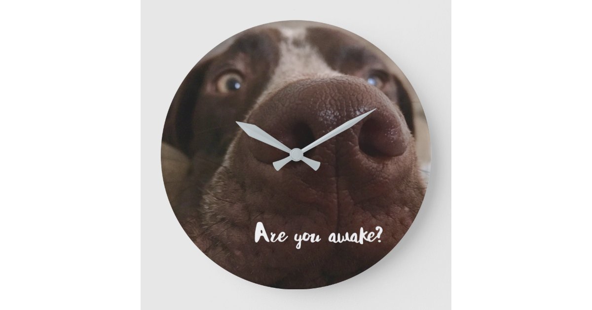 Are You Awake Wall Clock | Zazzle
