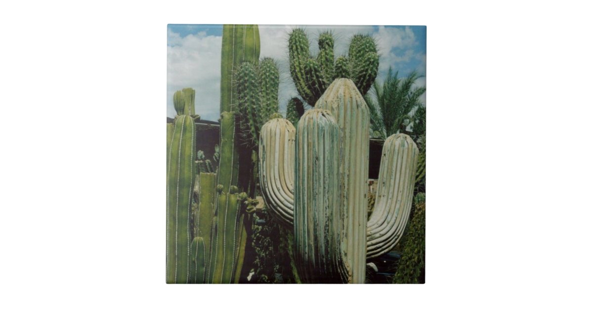 Arizona Cactus Ceramic Tile | Zazzle