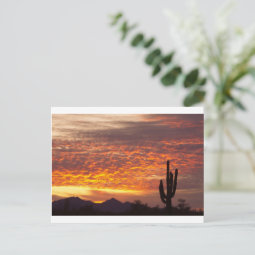 Arizona November Sunrise With Saguaro Postcard | Zazzle