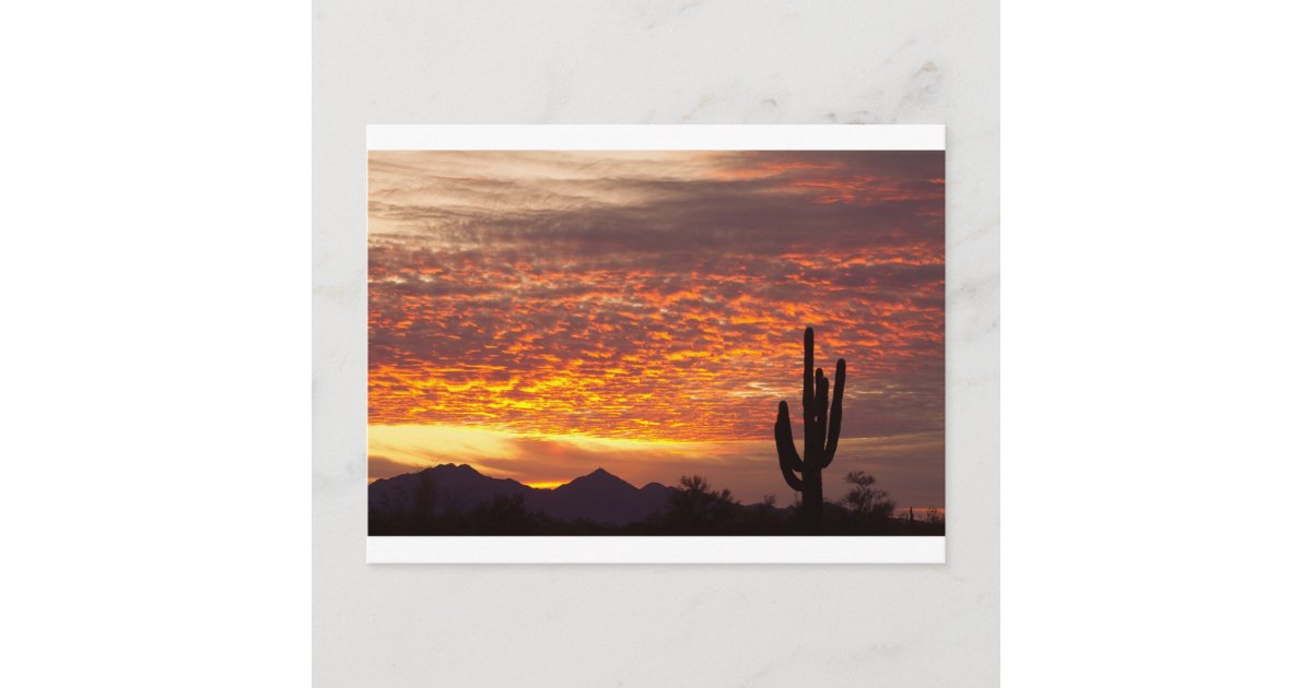 Arizona November Sunrise With Saguaro Postcard | Zazzle