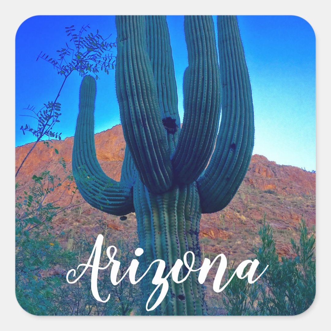 Arizona Saguaro Cactus Square Sticker | Zazzle