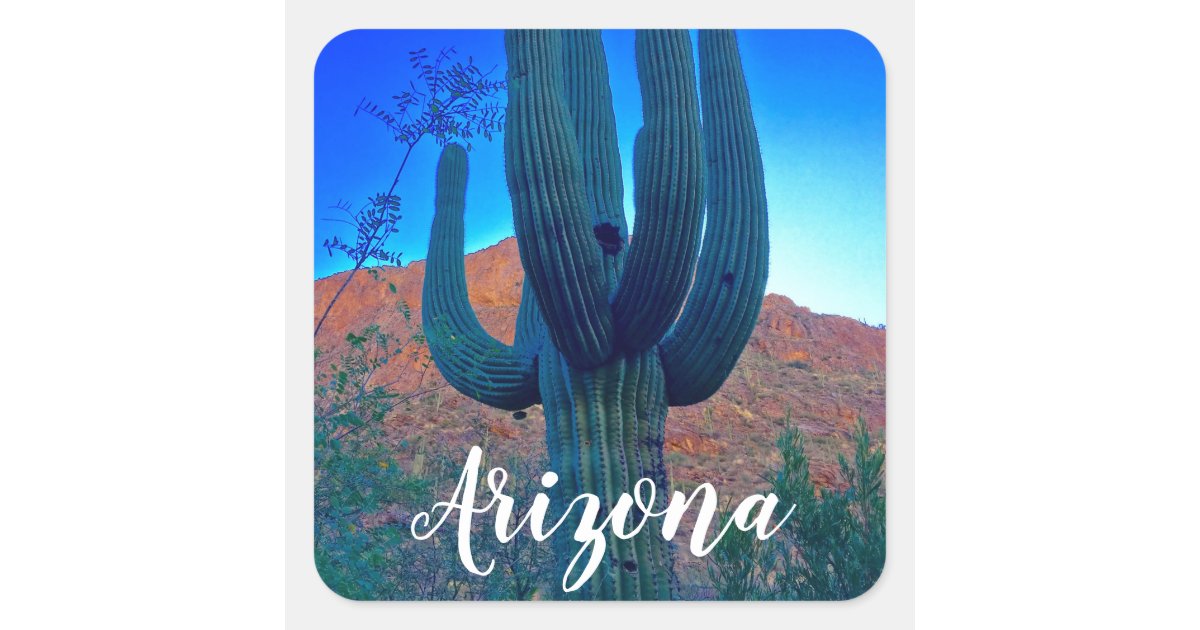 Arizona Saguaro Cactus Square Sticker | Zazzle