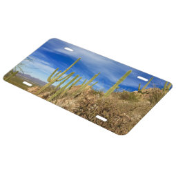 Arizona Sonoran Desert Photo License Plate | Zazzle