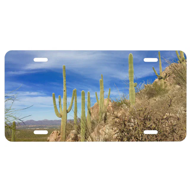 Arizona Sonoran Desert Photo License Plate | Zazzle