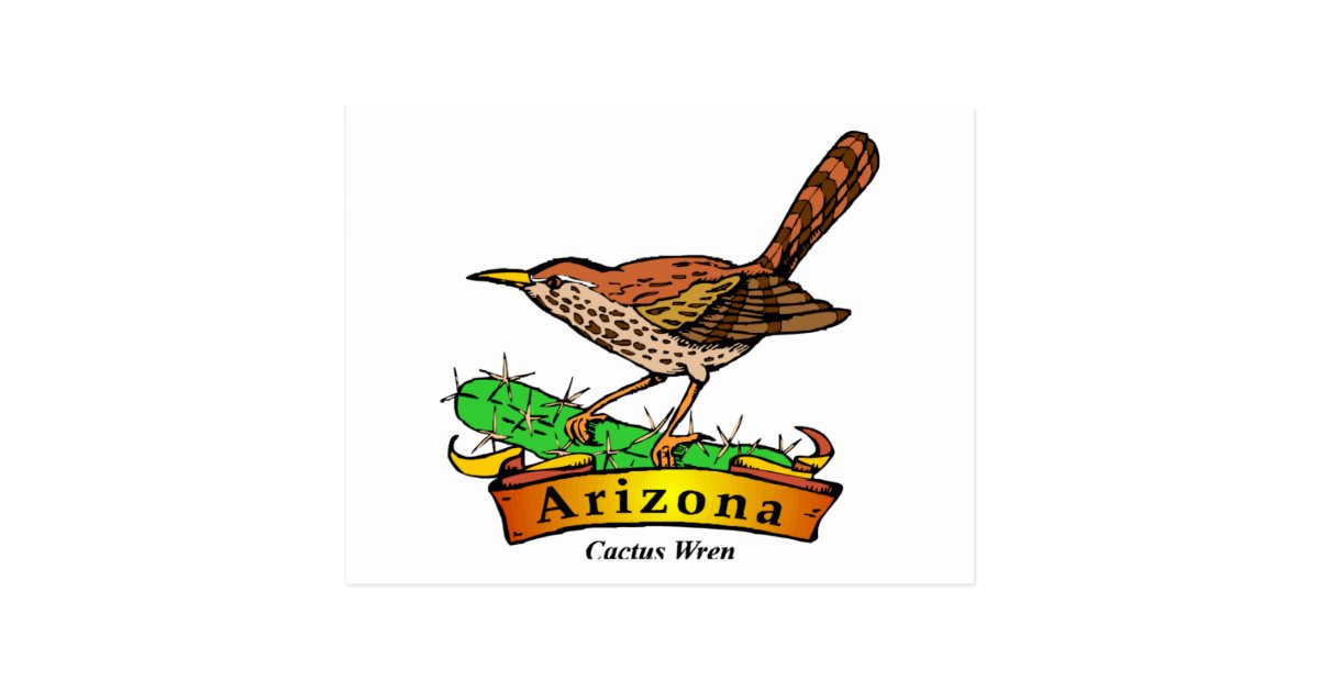 Arizona St. Flower Cactus Wren Postcard | Zazzle.com