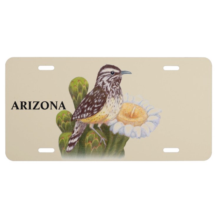Arizona State Bird Cactus Wren License Plate | Zazzle