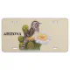 Arizona State Bird Cactus Wren License Plate | Zazzle
