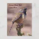 Arizona State Bird - Cactus Wren Postcard | Zazzle