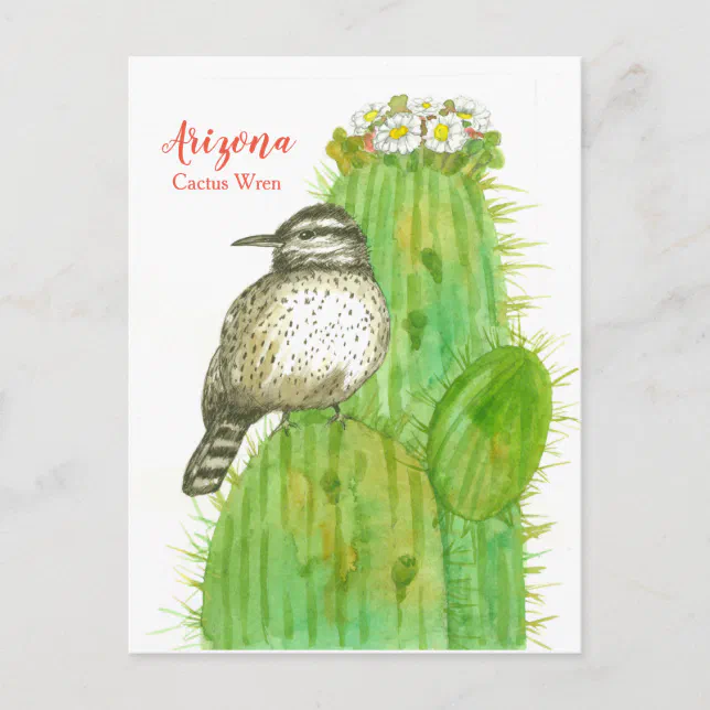 Arizona State Bird Cactus Wren White Blossoms Postcard | Zazzle