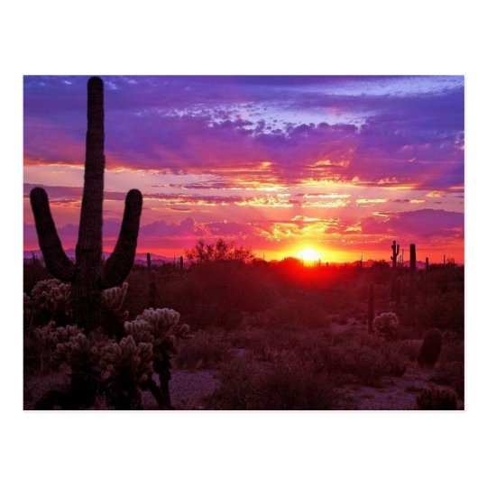 arizona sunset postcard | Zazzle.com