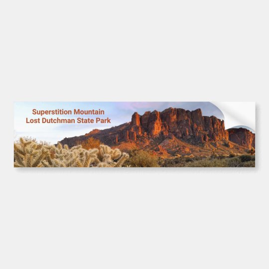 Arizona Superstition Mountain Cholla Cactus Bumper Sticker | Zazzle.com