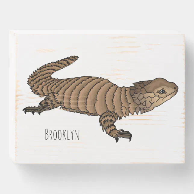 Armadillo girdled cartoon illustration wooden box sign | Zazzle