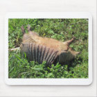 Drunk Armadillo Mouse Pad | Zazzle.com
