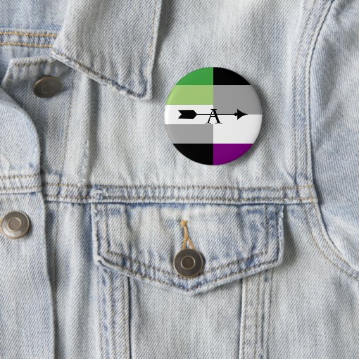 Aromantic Asexual Aro Ace Pin | Zazzle