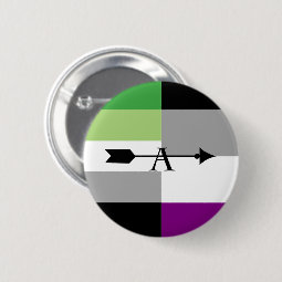 Aromantic Asexual Aro Ace Pin | Zazzle