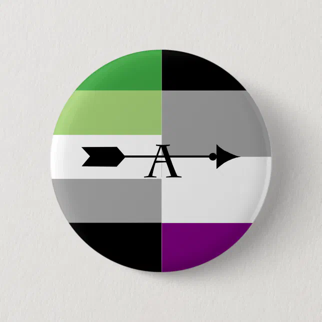 Aromantic Asexual Aro Ace Pin | Zazzle