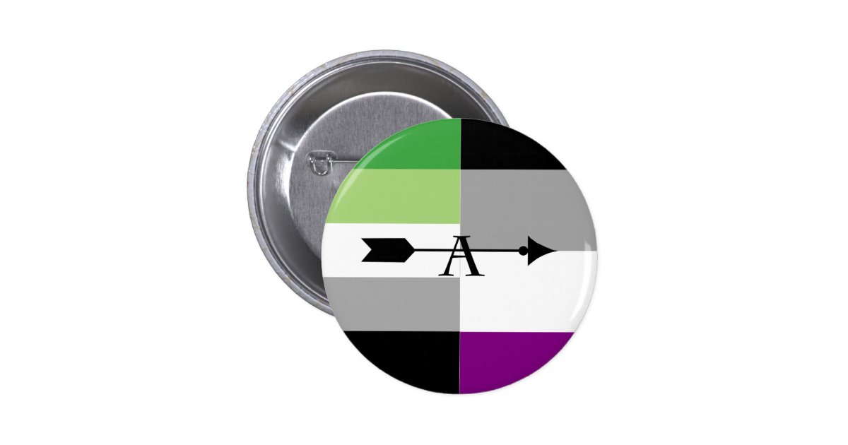 Aromantic Asexual Aro Ace Pin | Zazzle
