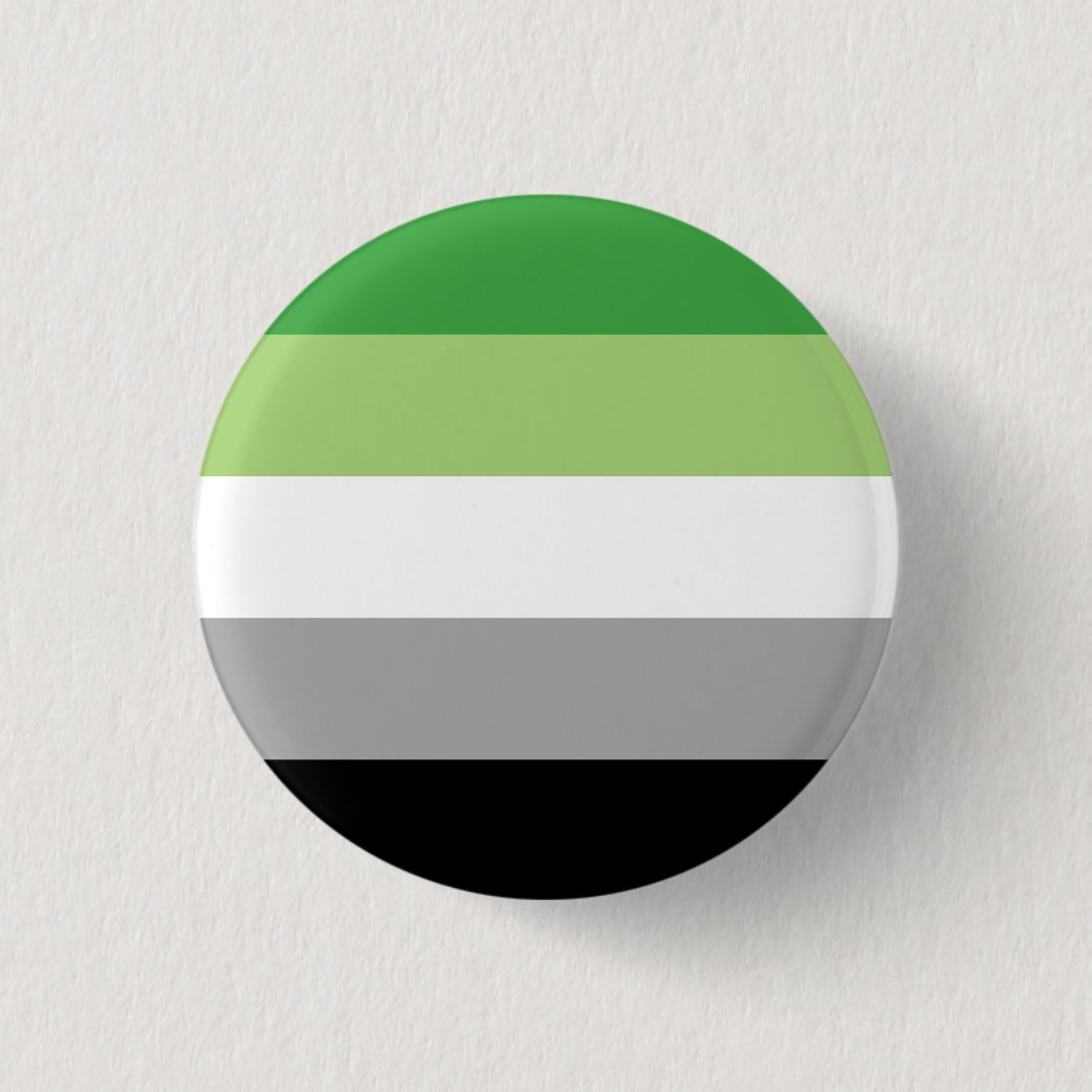 Aromantic Flag Badge Button | Zazzle