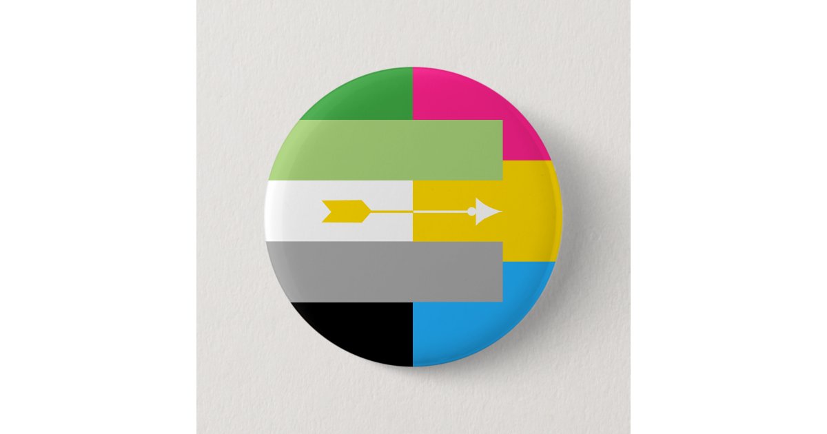 Aromantic Pansexual Pin | Zazzle