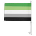 Aromantic Pride Car Flag | Zazzle